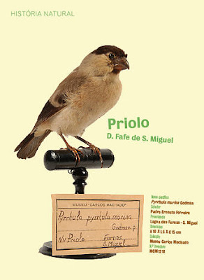 Fiat Lux * Carpe Diem: Priolo