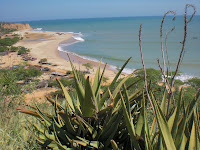 SANGANO RESORT | RESTAURANTE GOLFINHO