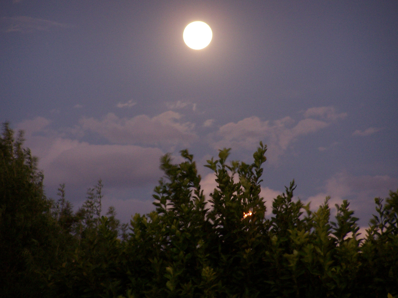 Treasures-n-Textures: Sunset - Moon Rising