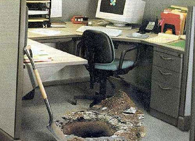Wit and Humour from the Flatlands: The Office Cubicle - What makes you ...