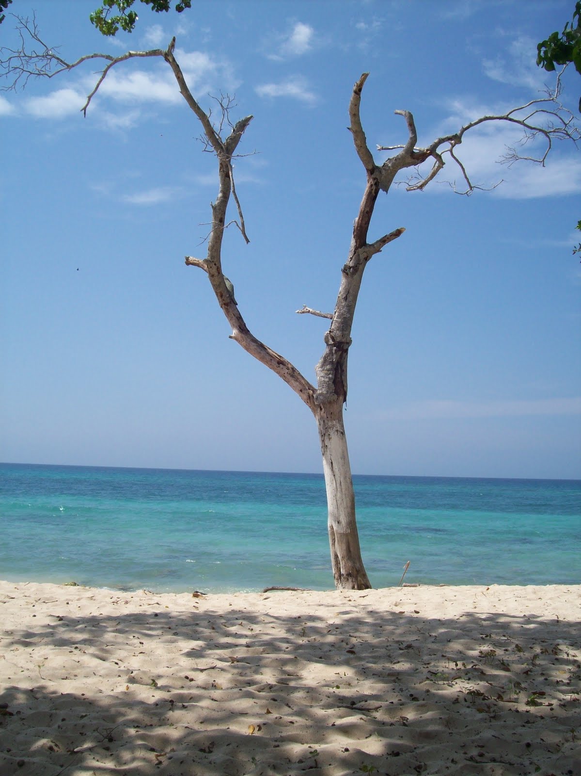 NUESTRO VIAJE: El significado de "Alive"