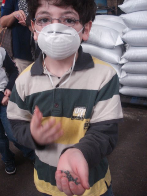 Grade 2 News: An outing to Sukleen- Recycling Plastic