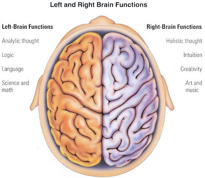 KidsKouch: Amazing facts about the Human Brain