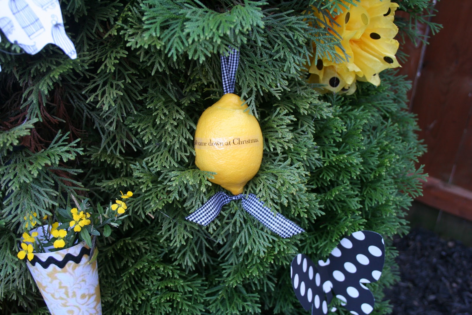 Lemon Ornaments: Christmas Tree Decorations with Little Money