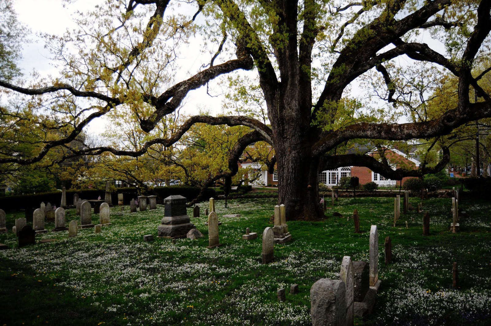 Little Red House: Memento Mori