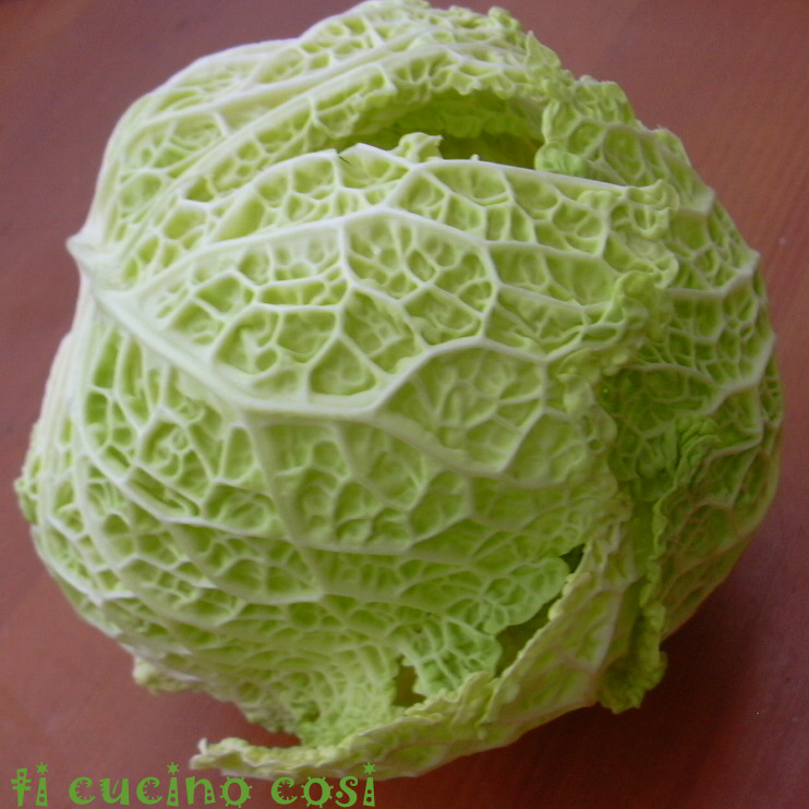 RICETTA DEL CAVOLO