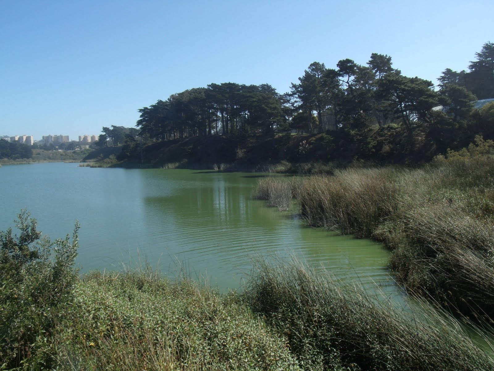 Sundays in my City - Lake Merced in San Francisco