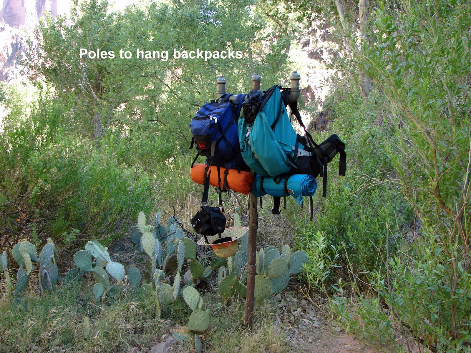 RVing and Travels...Adventures with Suzanne and Brad: Grand Canyon rim ...