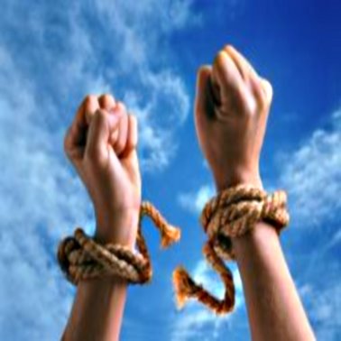 A RODA: Sugestibilidade E Liberdade Individual