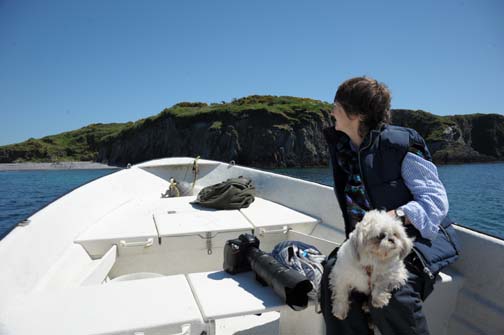 Celtic Memory Yarns: Roan Inish Rediscovered