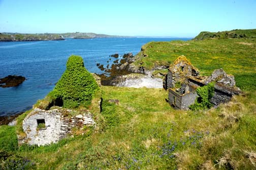 Celtic Memory Yarns: Roan Inish Rediscovered