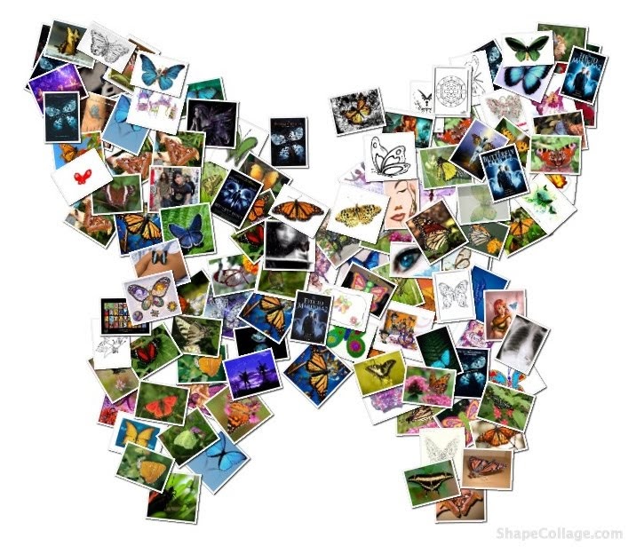 EL RETRATISTA CONFUSO: COLLAGE PERSONALIZADO