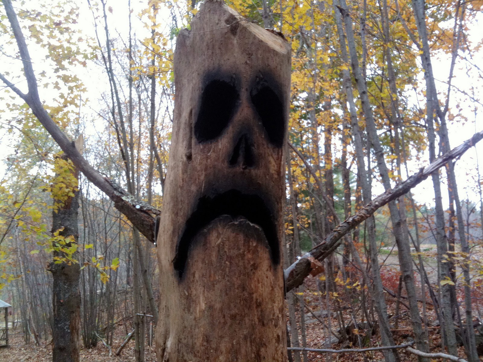 Haunt Style: I visited Haunted Overload!!!