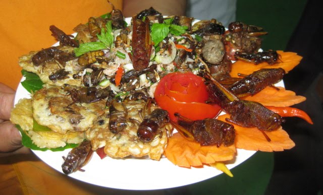 Traveling on a dream...: Laos - Insects as food / Cuisine aux insectes