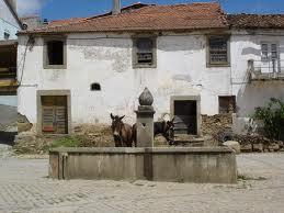 Portugal torrão natal: CARÇÃO - VIMIOSO