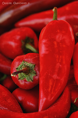 Navarra al natural: Navarra Color.