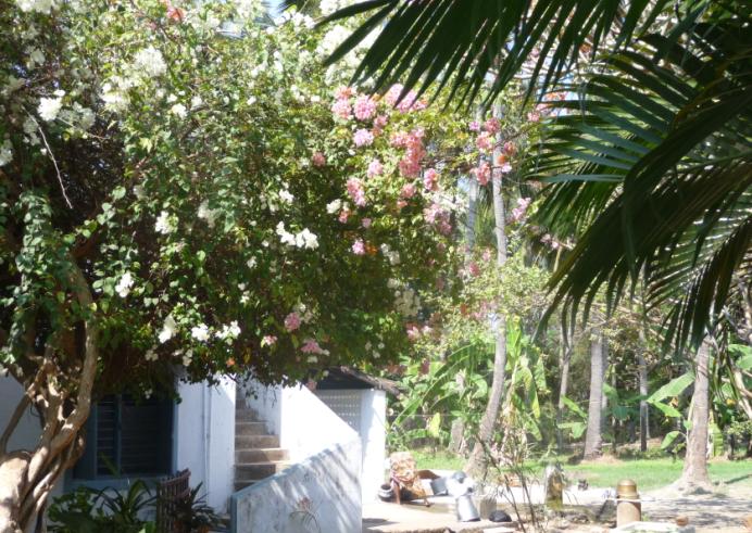 Mission Halligudi & Vanur Block