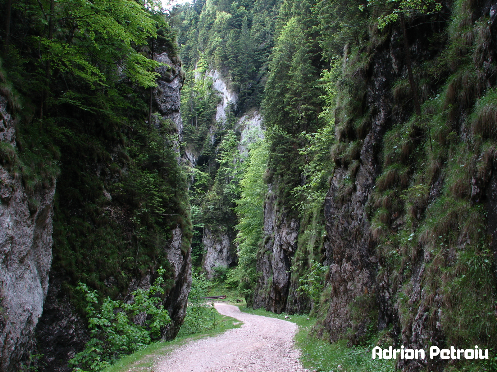 Adipetroiu Blog sau Munte, fotografii si pasiuni: Prapastiile (cheile ...