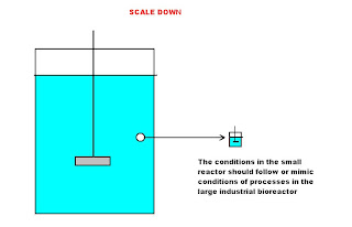 FERMENTATION TECHNOLOGY (teknologi penapaian): INTRODUCTION TO SCALE ...