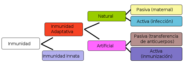 campaña de salud: inmunidad artificial sueros y vacunas.