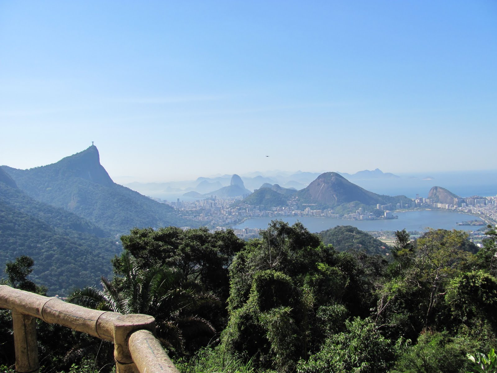 O Aventureiro: Passeio pelo Parque Nacional da Tijuca