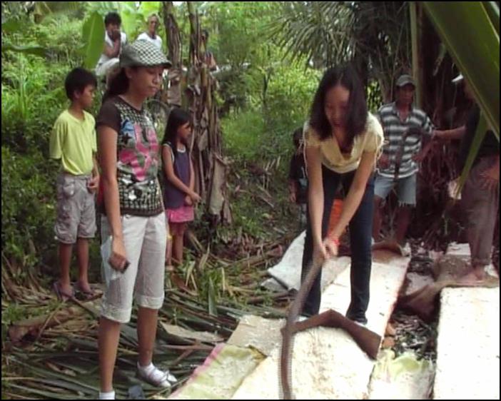 Palagsing: Butuanon Delicacy: Team Insights