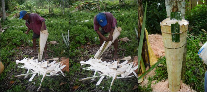 Palagsing: Butuanon Delicacy: Methodology