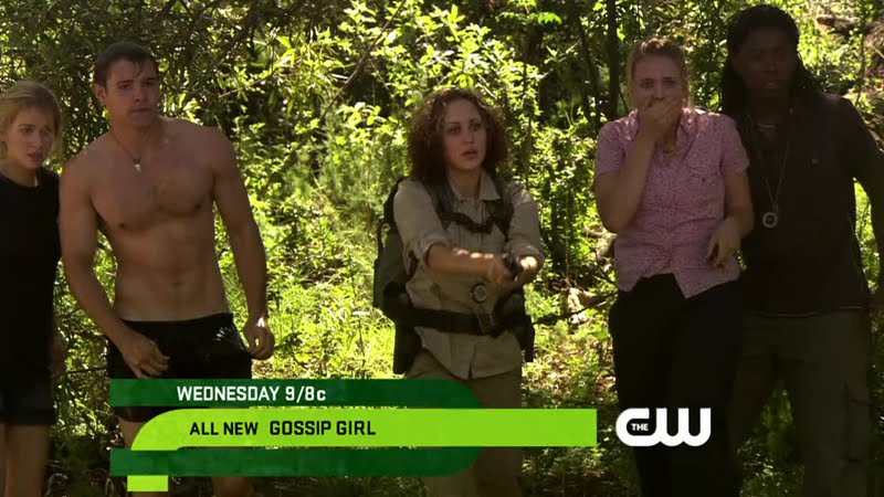 STARLIGHT STARBRIGHT: LIFE IS WILD