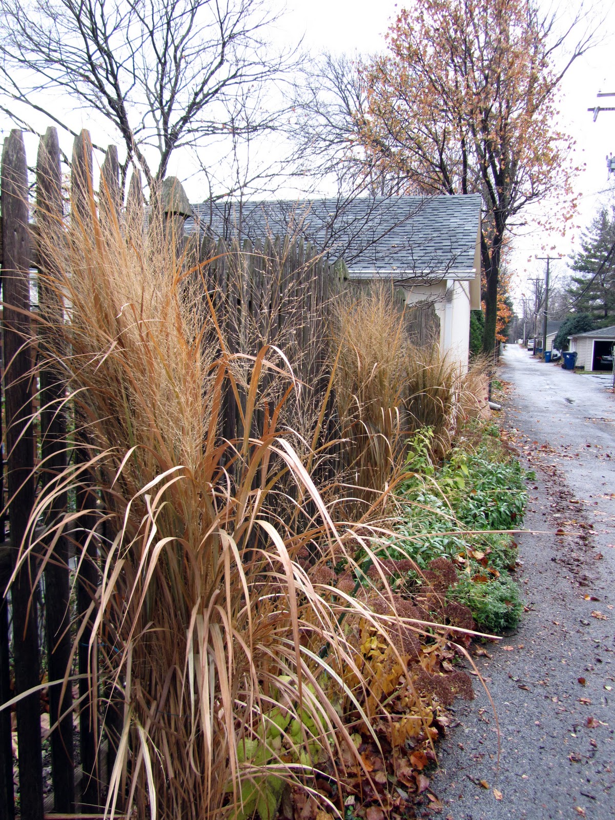 Gatsbys Gardens: Around The Garden