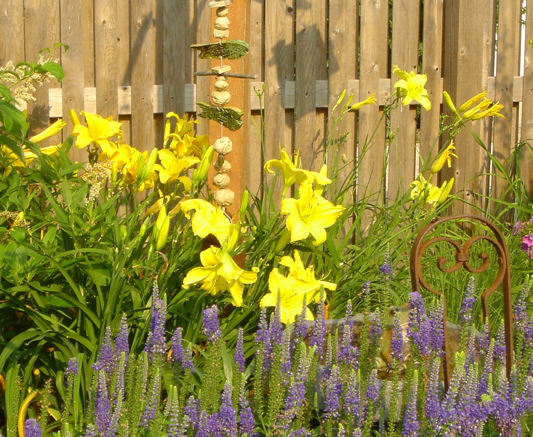 Gatsbys Gardens: Everblooming Daylillies