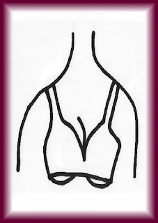 Your Breast Friend: Bra Issues