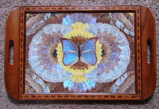 Blue Starr Gallery: Butterfly Tray