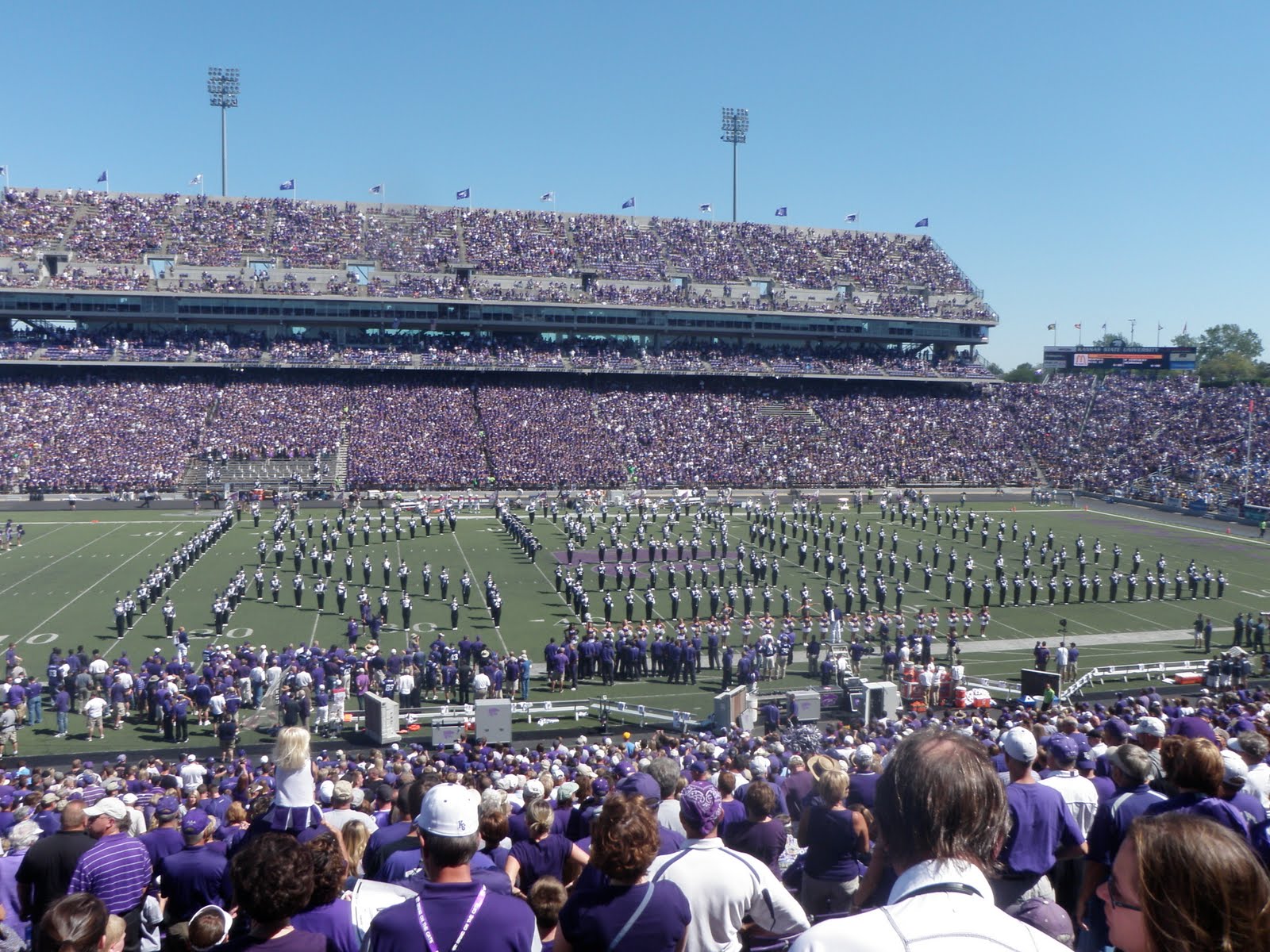 Wildcat Saturday - The Curious Plate