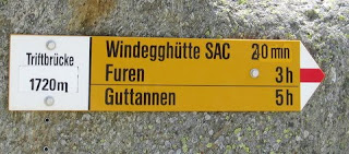 Marianne's Wanderblog: Triftbrücke (10.7.2010)