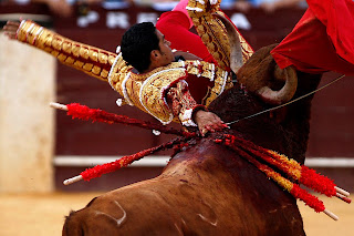The Rasch Outdoor Chronicles: The Science and Biology of Bullfighting