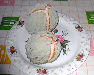 Educativo.com.mx: El Papause de San Francisco Ixhuatán, Oaxaca, México