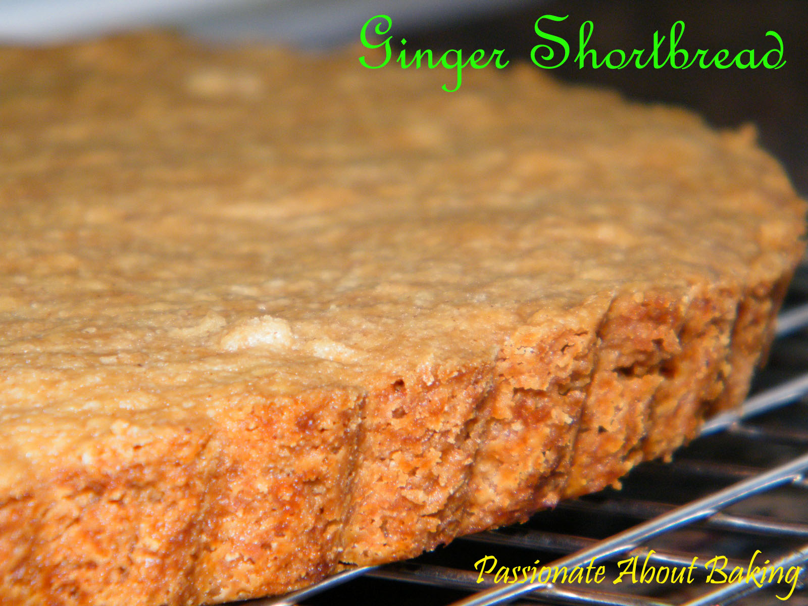 Ginger Shortbread | Passionate About Baking