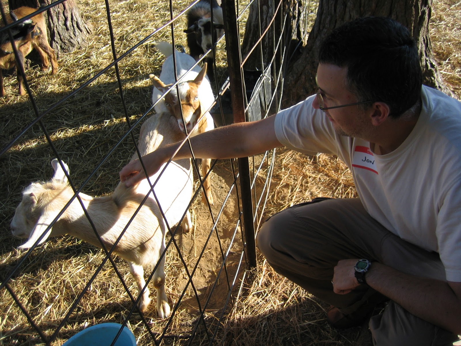 the small suburban farm: We took a goat class