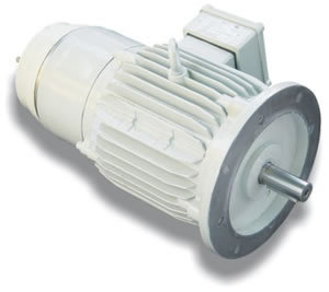Electricidad para el Diseno: Motores