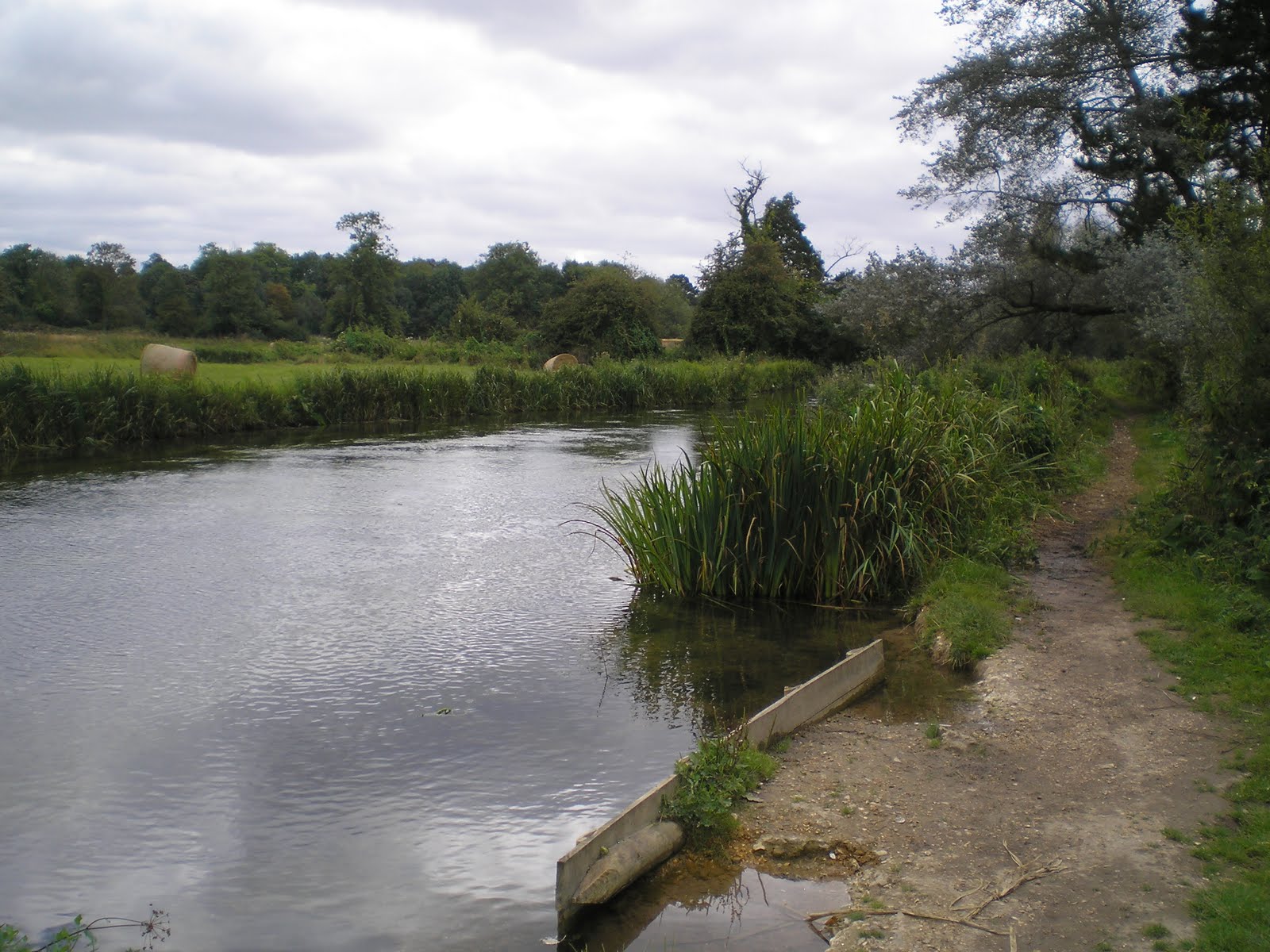 In the Mists: The River Itchen (part 1)