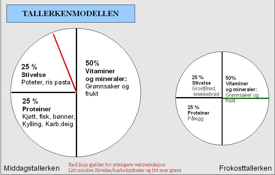 Veien til et lettere liv: Dag 9 - TALLERKENMODELLEN