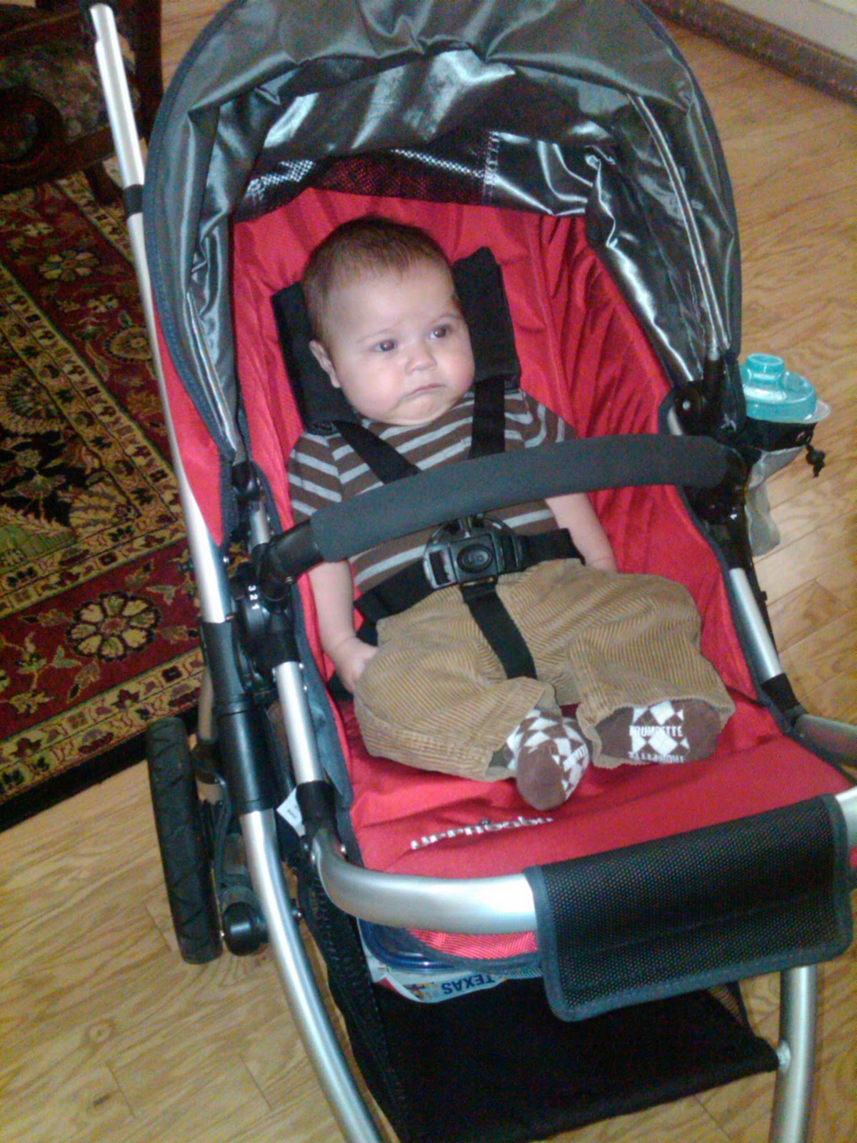 These Are The Days: Grayson, tell us how you feel....