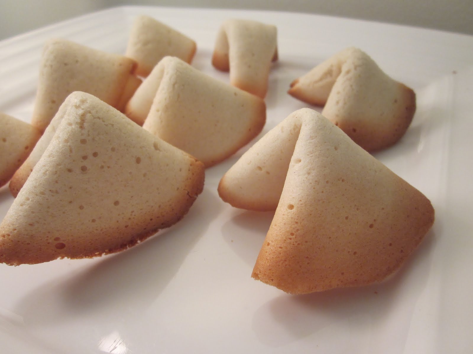 Lisa's Nutritious Kitchen Experiments: Fortune Cookies
