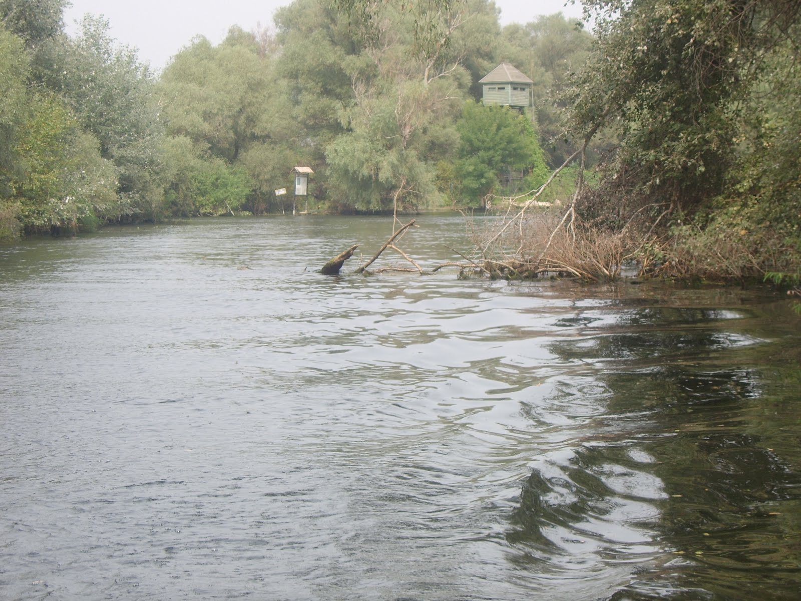 Haihui prin Lume : Romania,Delta Dunari