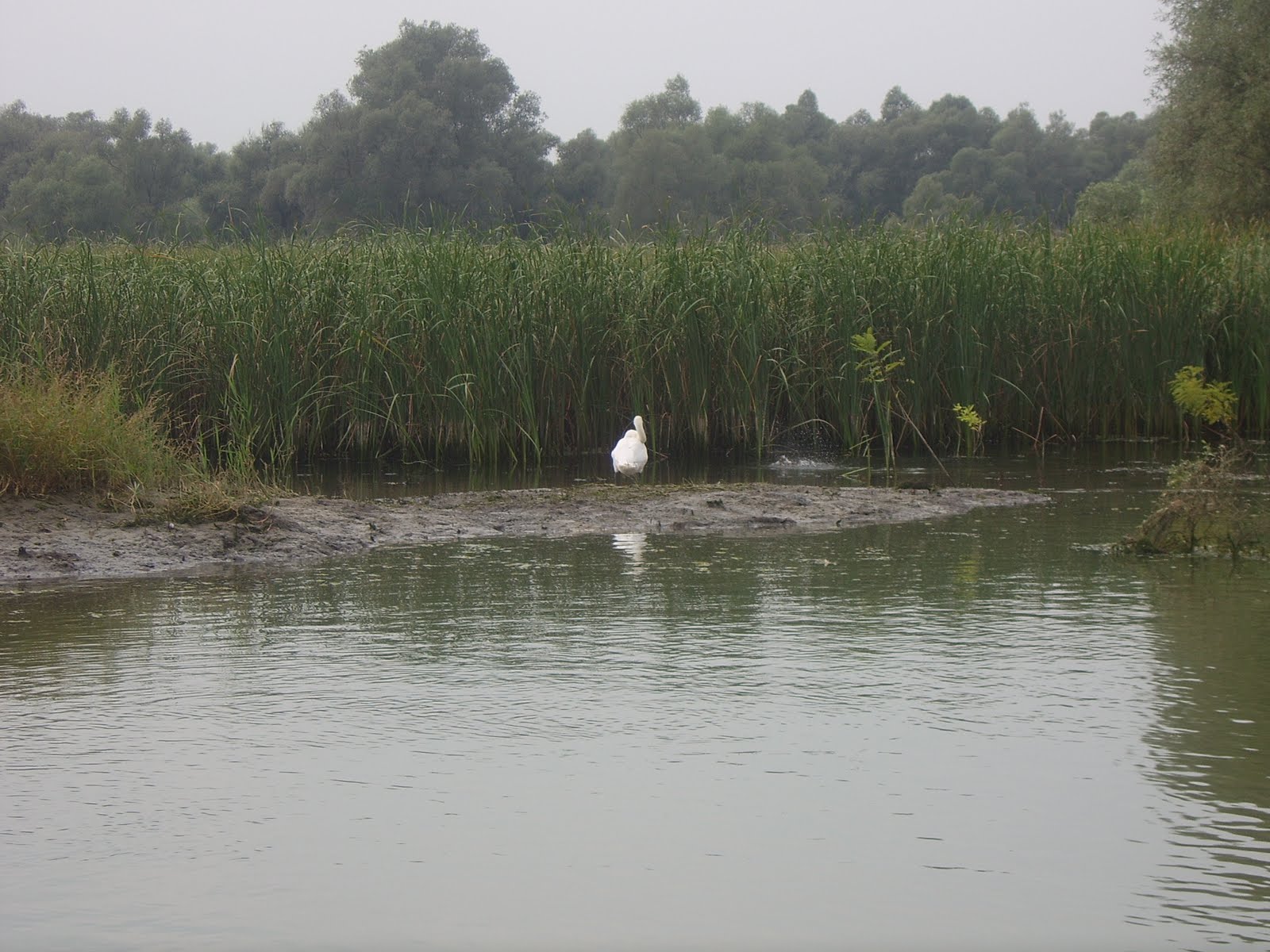 Haihui prin Lume : Romania,Delta Dunari