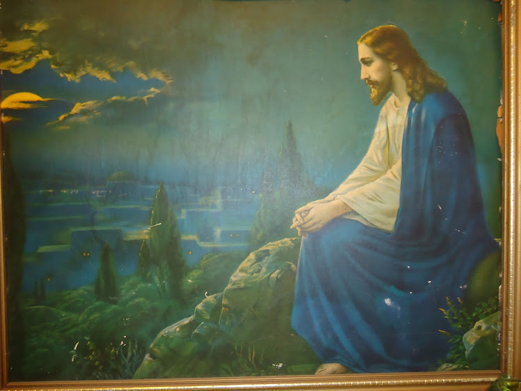 Words of Life and The Life of Jesus Christ: Salvation Through Jesus ...