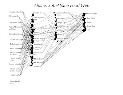 Cody's Web Portfolio: Alpine/Sub-Alpine Food Web