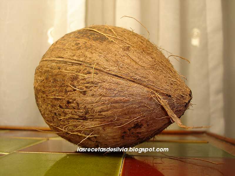 Las recetas de Silvia: Propiedades de Cocus Nucífera o Coco