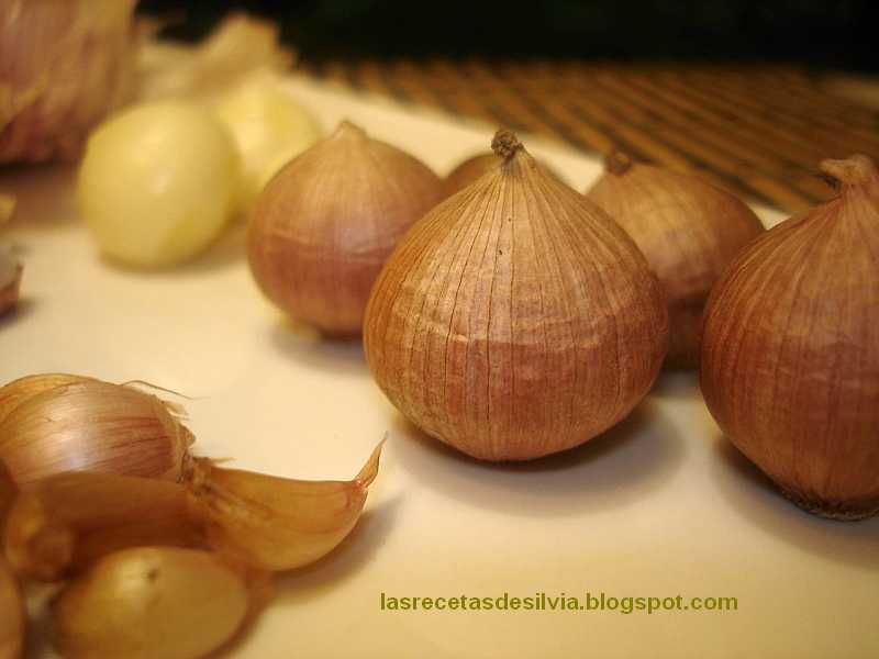 Las recetas de Silvia: ¿Que es el AJO MACHO?