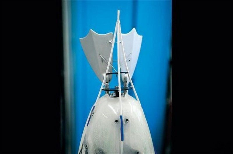 picturespost: Bionic Robot, Aqua Penguin